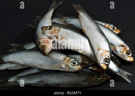 Sprats, sprattus sprattus, that have been bought from a supermarket in ...
