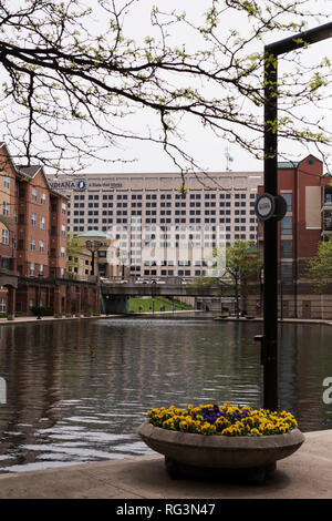 Flowers growing in Indianapolis (IN, USA Stock Photo - Alamy