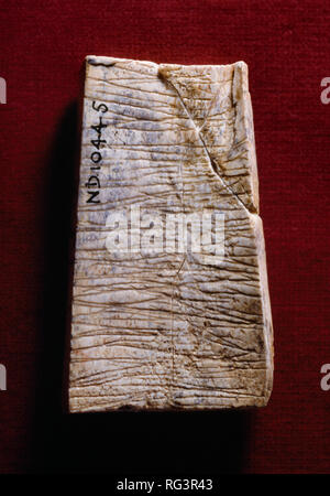 Striated back of panel: Nimrud Ivory from Room SW11/12 Fort Shalmaneser ...