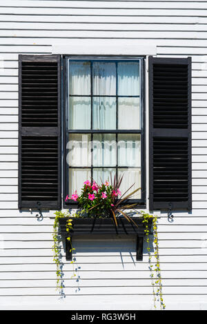 New England window with black shutters and flower box Stock Photo - Alamy