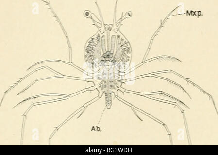 . The Cambridge natural history. Zoology. 166 CRUSTACEA EUCARIDA ...