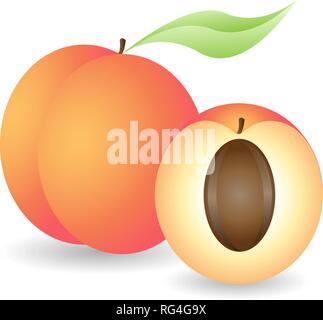 Peach ripe, fruit whole fresh organic, orange color, icon. Vector ...