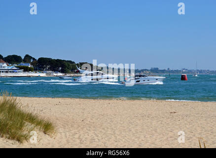 Shell Bay, Swanage, Isle of Purbeck, Dorset, England, UK Stock Photo ...