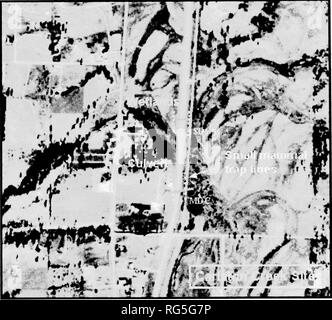 . Monitoring animal use of modified drainage culverts on the Lolo South ...