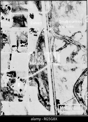 . Monitoring animal use of modified drainage culverts on the Lolo South ...