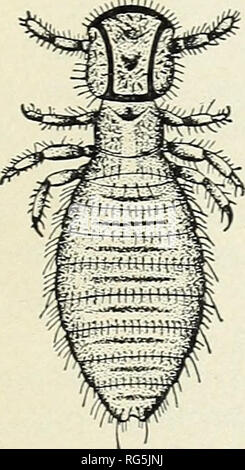 . A calendar of livestock parasites. Cattle; Parasites; Livestock. Fig ...