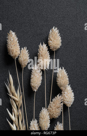 Dried flower for handcraft Stock Photo - Alamy