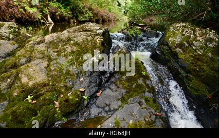 Moss covered rocks, reflecting, pool, Wild Garden, Portland Japanese ...