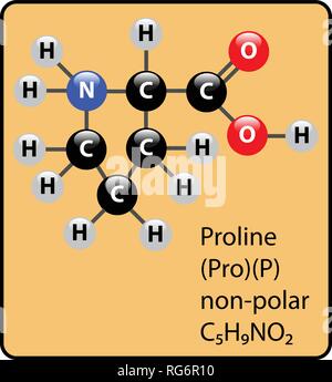 Proline Amino Acid Molecule Skeletal Structure Stock Vector Image & Art ...