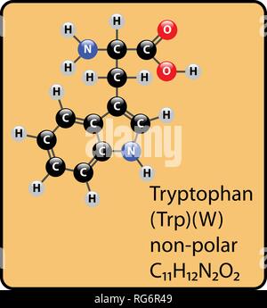 Tryptophan molecular structure. Tryptophan skeletal chemical formula ...