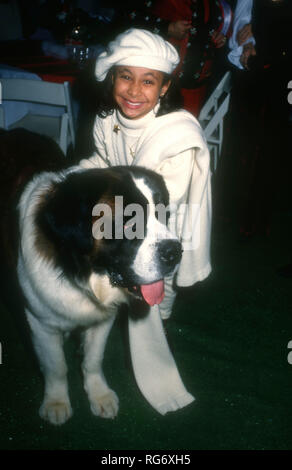 HOLLYWOOD, CA - NOVEMBER 28: Beethoven the Saint Bernard Dog attends ...
