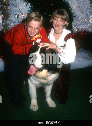 HOLLYWOOD, CA - NOVEMBER 28: Beethoven the Saint Bernard Dog attends ...