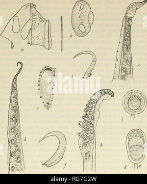 A left side view of two F-101 Voodoo aircraft's landing and starting to ...