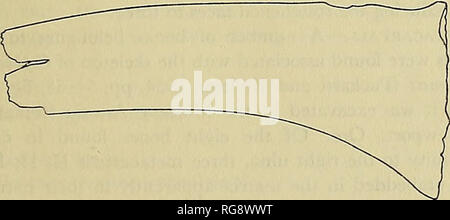 General view of Anatomy and Paleontology Museum of Natural History ...