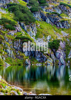 Mountain slope with small pines and small lake in Polish Tatra national ...