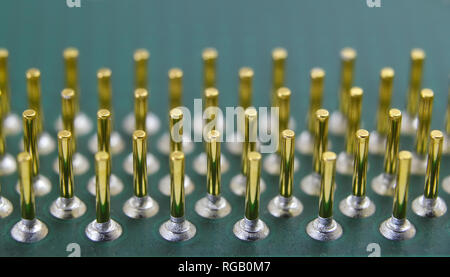 Closeup of a computer processor with golden pins over a white background Stock Photo - Alamy