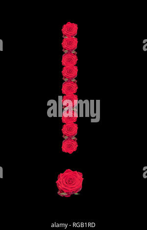 flower font for symbol exclamation mark, ampersand(and) (collection ...