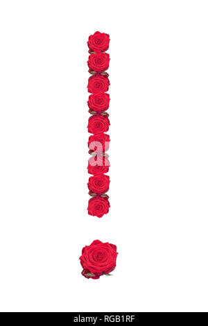 flower font for symbol exclamation mark, ampersand(and) (collection ...