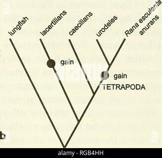 . The Bulletin of zoological nomenclature. Zoology. Figure 1 ...