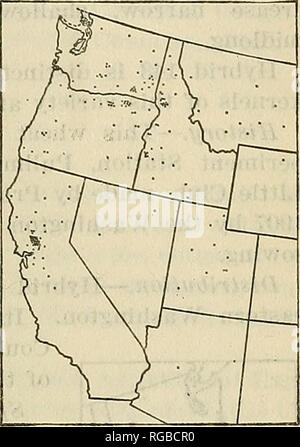 . Classification of American wheat varieties. Wheat; Wheat. Fig. 8 ...