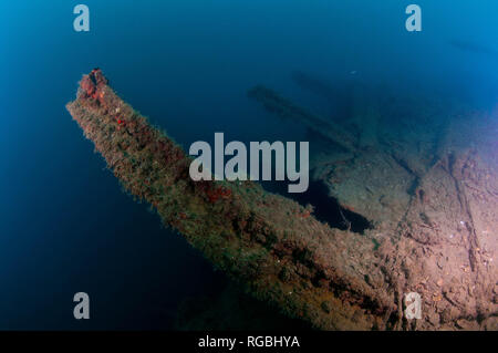 SS Margit Wreck in Malta Stock Photo - Alamy