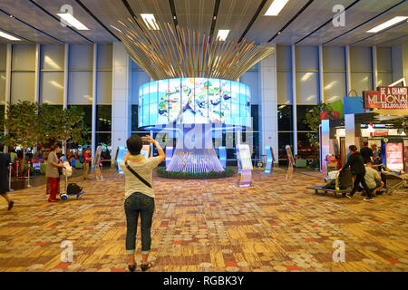 SINGAPORE - CIRCA AUGUST, 2016: the Social Tree at Singapore Changi ...