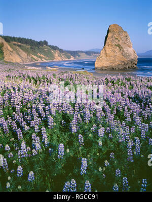 Needle Rock, Cape Blanco State Park, Oregon Stock Photo - Alamy