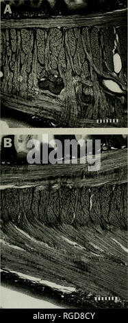 . Animal biology. Biology; Zoology; Physiology. COORDINATION 207 ...