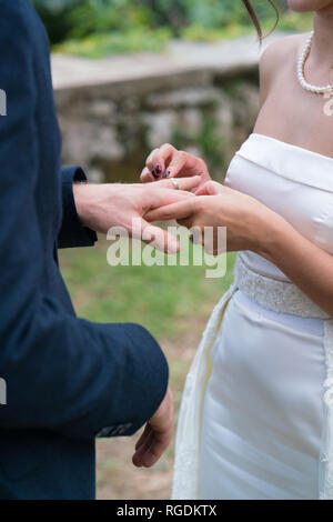 man puts on a suit on the wedding day Stock Photo - Alamy