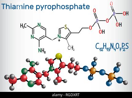 Thiamine chemical structure. Vector illustration Hand drawn Stock ...