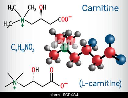 Carnitine. Molecular model of the nutritional supplement and quaternary ...