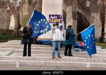 UKIP flags outside Parliament at the Brexit Betrayal march in London ...