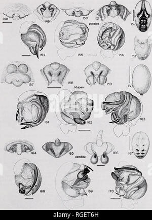 . The Cambridge natural history. Zoology. 152 FISHES In Fishes the ...
