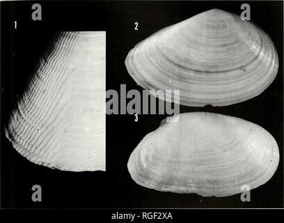 False Bay College at Muizenberg in South Africa Stock Photo - Alamy