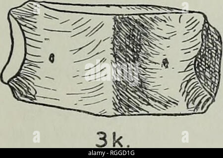 Pliosaurus ferox tooth Stock Photo - Alamy