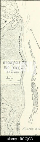 Outer side of reef from north of lesson fissure, 14 April 1949-17 April ...
