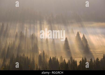 View of the sun through the fog on the beach Stock Photo - Alamy