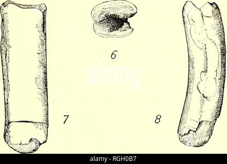 . Bulletin of the Department of Geology. Geology. 1913] Stock ...