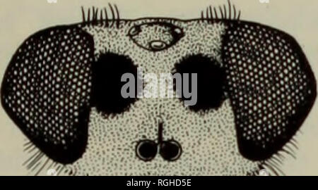 Short Type 320 Stock Photo - Alamy