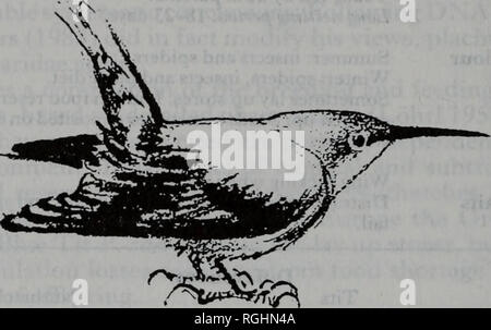 . Bulletin of the British Ornithologists' Club. . Top: The pre ...