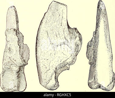 . Bulletin of the Department of Geology. Geology. 512 University of ...