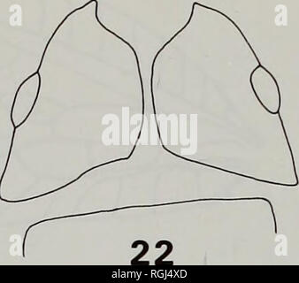 . Bulletin. Natural history; Natural history. SUBCOSTAL CELL FIRST ...