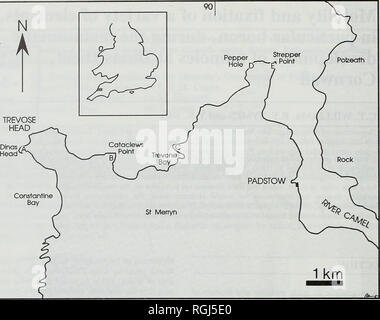 Trevose Head from Stepper Point Stock Photo - Alamy