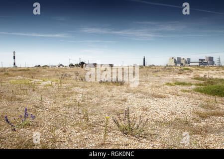 landscape image along the dungeness romney marsh coastline Stock Photo ...