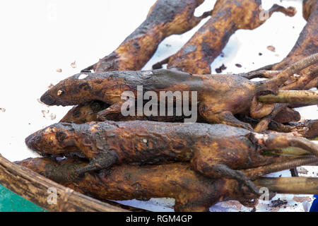Rats at market in Indonesia, extreme market, Sulawesi Stock Photo - Alamy