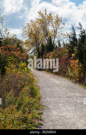 Point Pelee National park Windsor Ontario Canada Stock Photo - Alamy