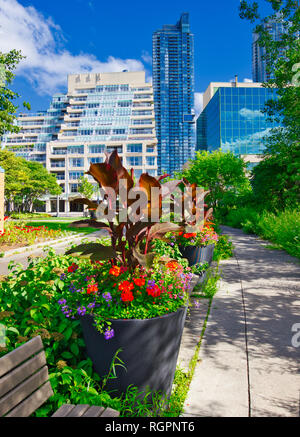 The Toronto Music Garden is an urban park inspired by Bach's music ...