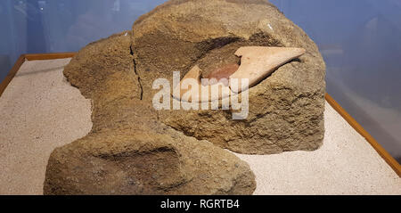 Original Moai (Easter Island Statue) outside Vina del Mar's Stock Photo ...