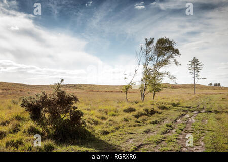 beautiful landscape of Stoborough Heath, Wareham, Dorset Stock Photo ...
