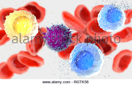 White , red blood cells and antibodies , Leukocytes , Infectious Stock ...